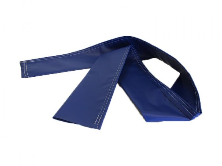 Sand Snake Fumigation PestFogSales